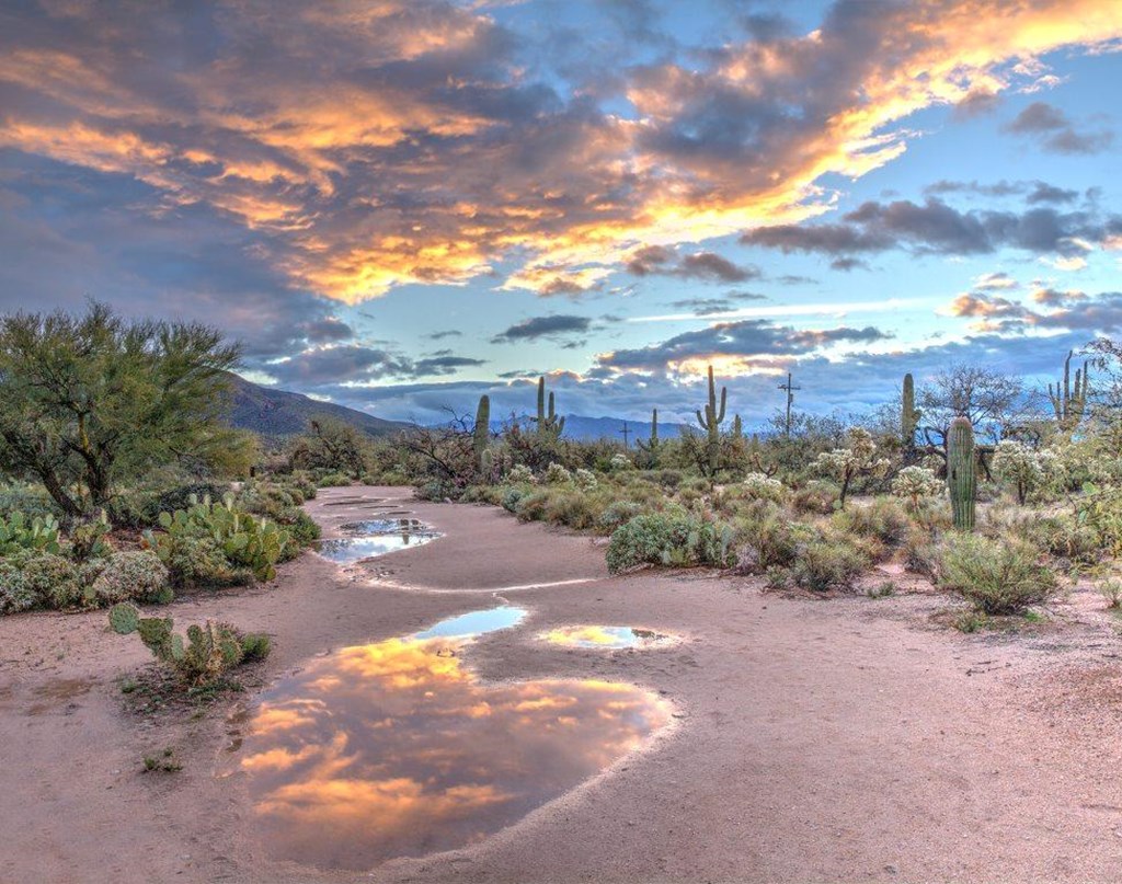 Tucson Airport (TUS) | Tucson International Airport